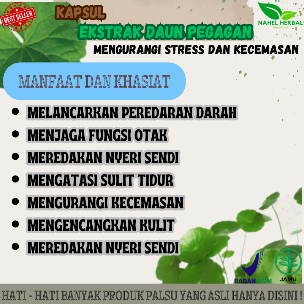 Jual Kapsul Ekstrak Daun Pegagan 50 Kpsl Nutrisi Otak & Sirkulasi ...