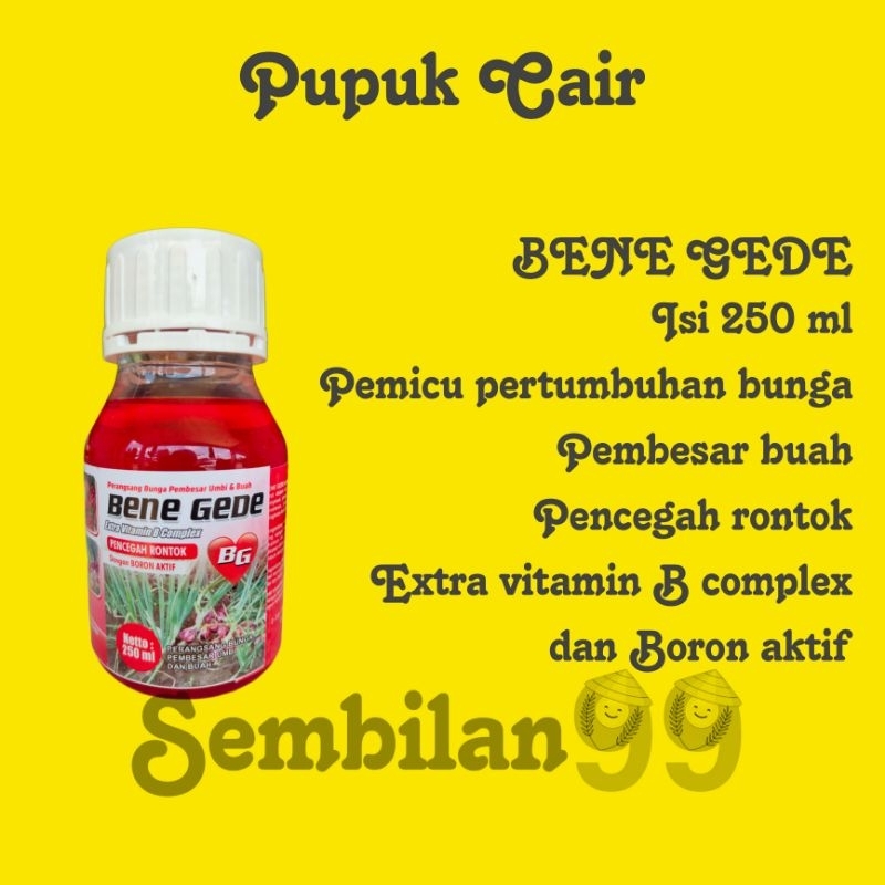 Jual Pupuk buah umbi bunga BENE GEDE extra vitamin B complex untuk ...