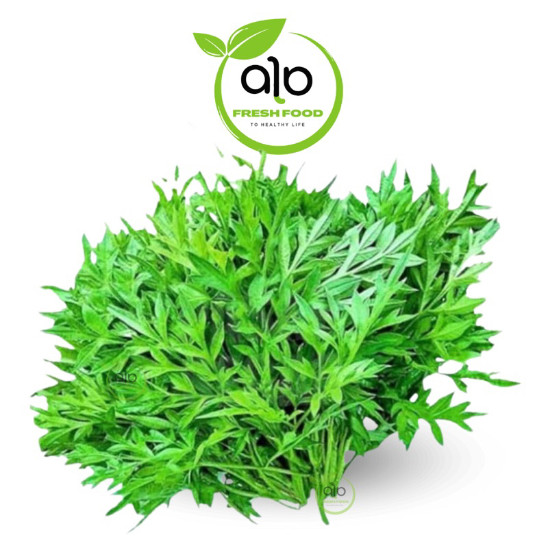 Jual daun kenikir segar daun suring 1 ikat - ALO Fresh Food | Shopee ...