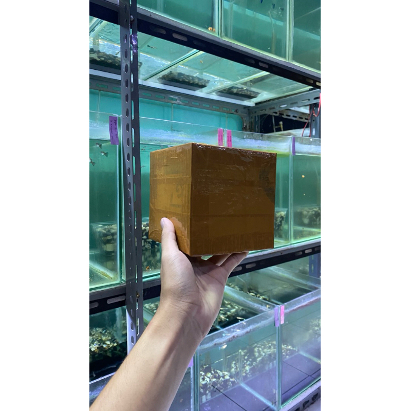 Jual pesanan mas nanda | Shopee Indonesia