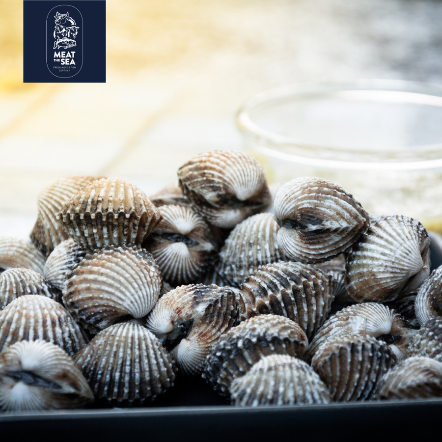 Jual Kerang Darah Anadara Granosa Frozen | Shopee Indonesia