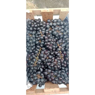 Jual Anggur 1 Kg Terlengkap & Harga Terbaru Juni 2024 | Shopee Indonesia