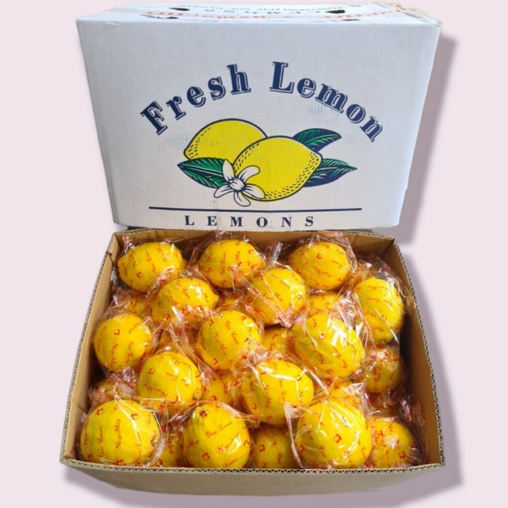 Jual Lemon China (DUS) | Shopee Indonesia