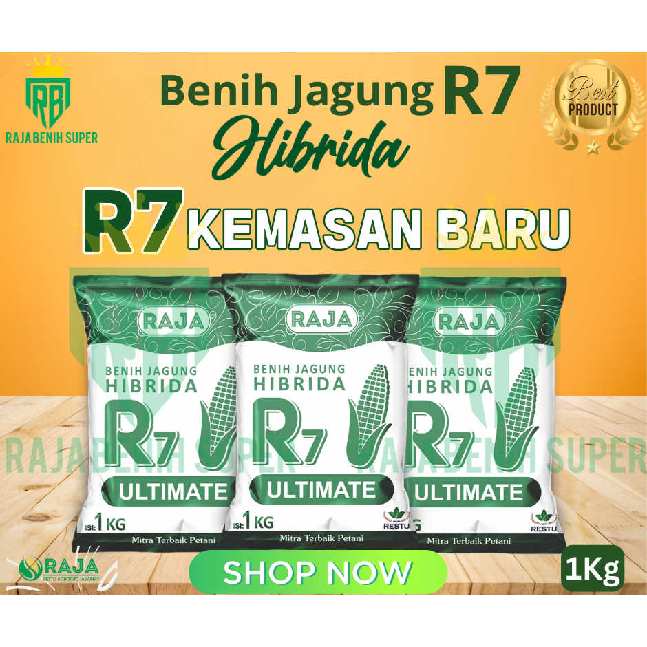 Jual Benih jagung hibrida R7 ULTIMATE kemasan 1kg | Shopee Indonesia