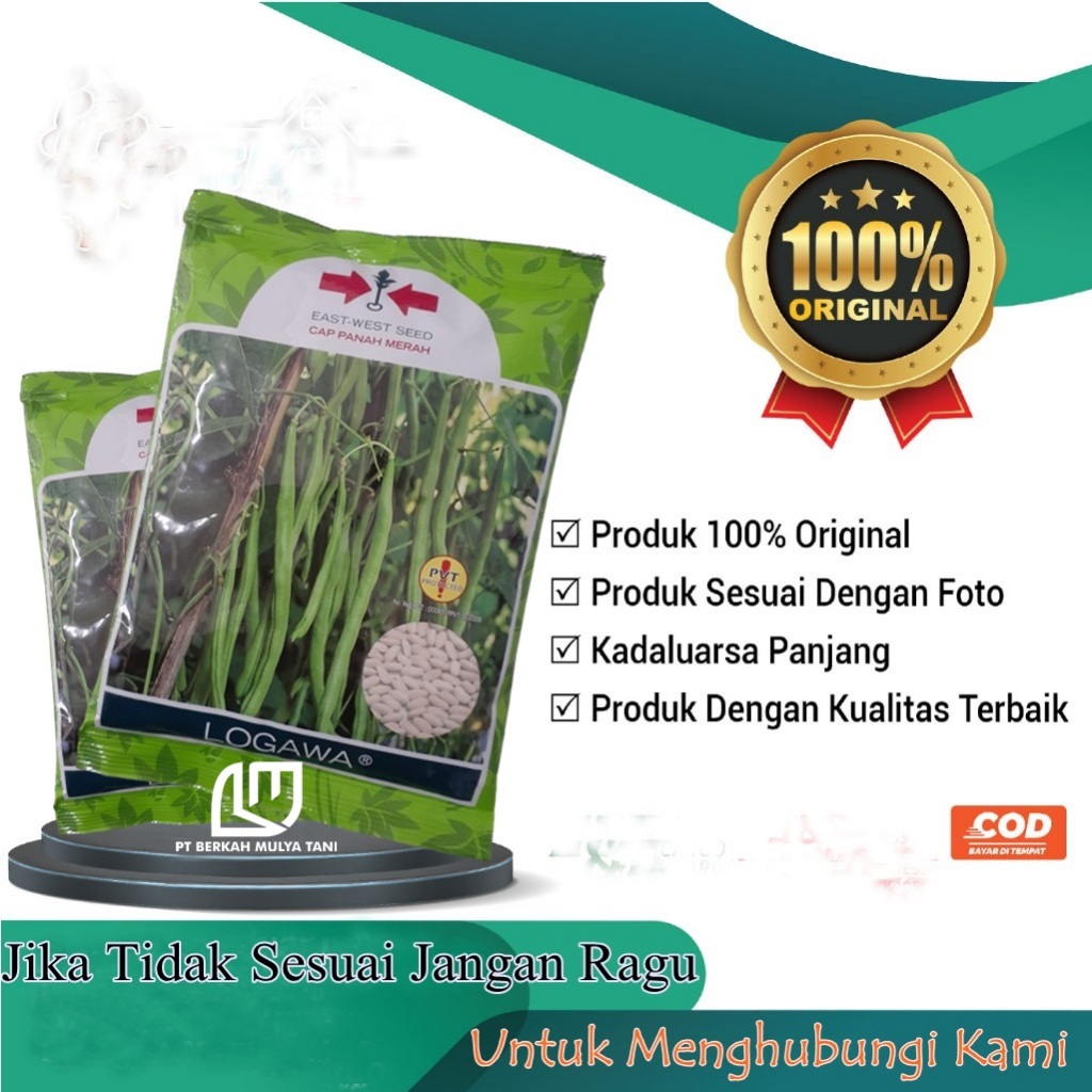 Jual Bibit Benih Buncis Logawa F1 500 Gram Kemasan Pabrik Cap Panah ...