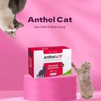 Jual Anthel Cat 1 Tablet - Obat Cacing Kucing by Kalbe [ORIGINAL ...