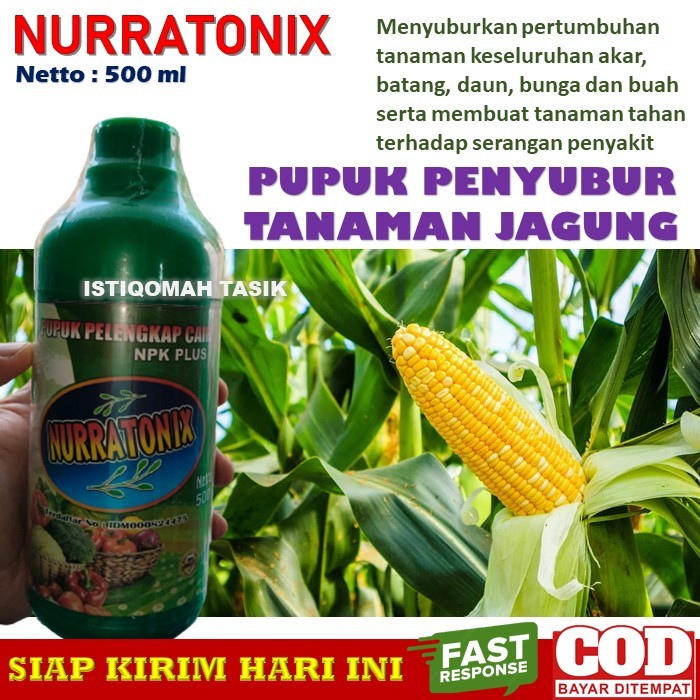 Jual Pupuk Jagung Terbaik NURRATONIX isi 500ML Pupuk Pelengkap Cair NPK Plus Pupuk Penyubur Akar ...