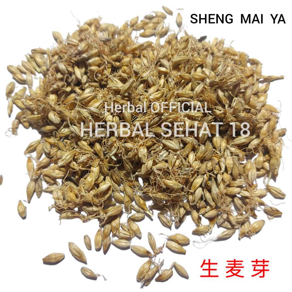 Jual Sheng Mai Ya - Mai Ya Bing - ShengMaiya Barley Sprout Sprouts Malt ...