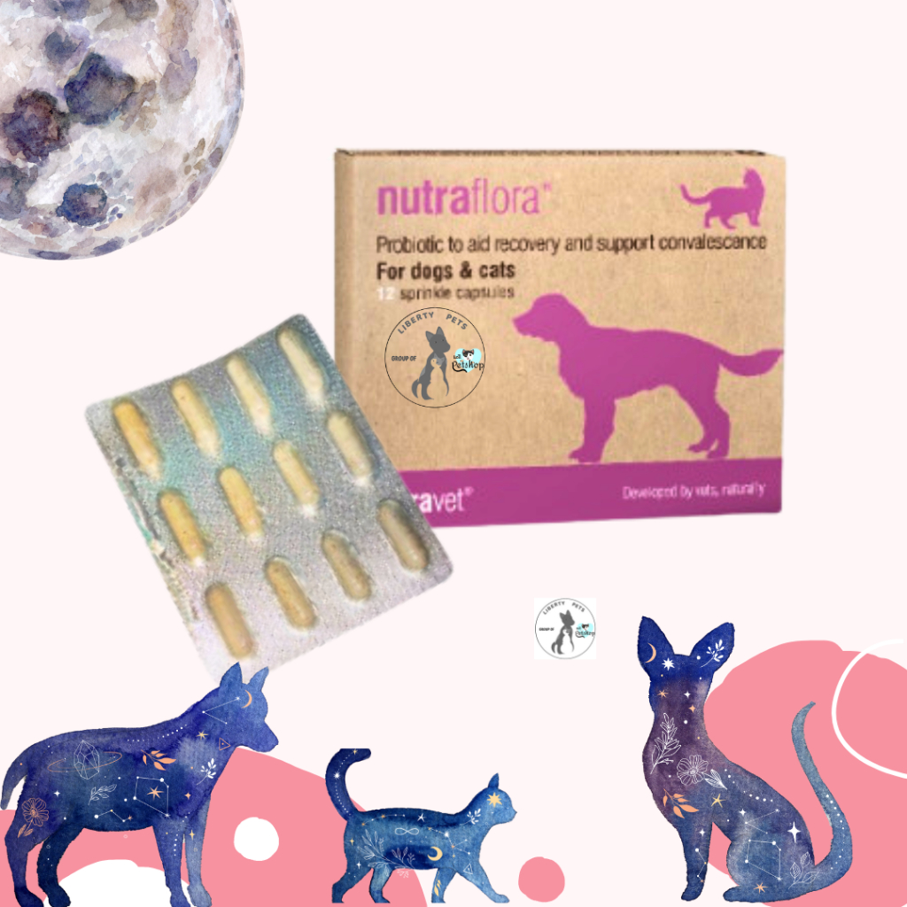 Jual Nutraflora Suplemen Digestive Gastro Probiotic Diare Kucing Anjing (1 Strip = 12 Caps ...