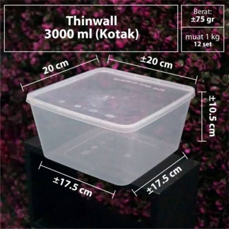 Jual (ISI 25PCS) Kotak Thinwall JUMBO 3000ml/Thin Wall Kotak Makanan ...