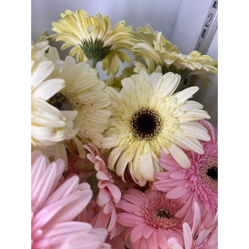 Jual (Kode Gabriella) Bunga Asli KHUSUS JABODETABEK Bouquet bunga ...