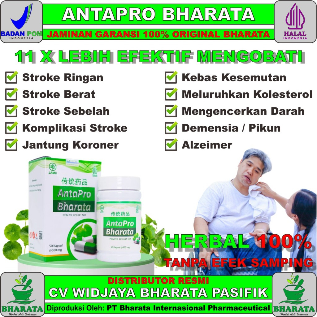 Jual Obat Stroke Ampuh ANTAPRO BHARATA 100% Original | Obat Struk ...
