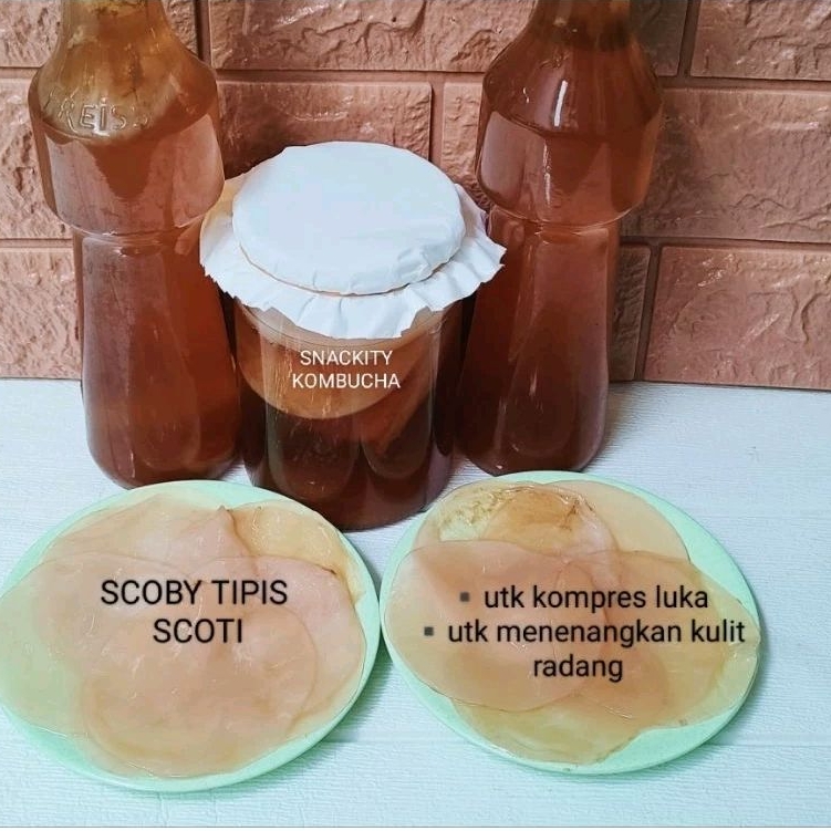 Jual SCOTI ( SCOBY TIPIS ) KOMBUCHA 100 gr & 200 gr dengan starter 100 ...