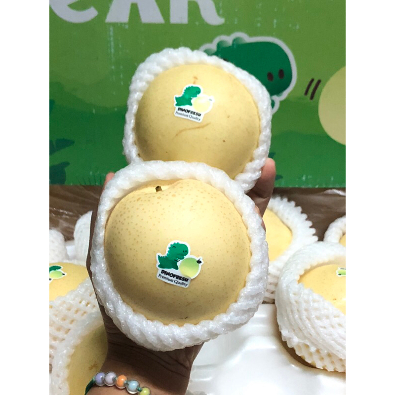 Jual Pear Century Crown China Dinofresh Size 48 /kg | Shopee Indonesia