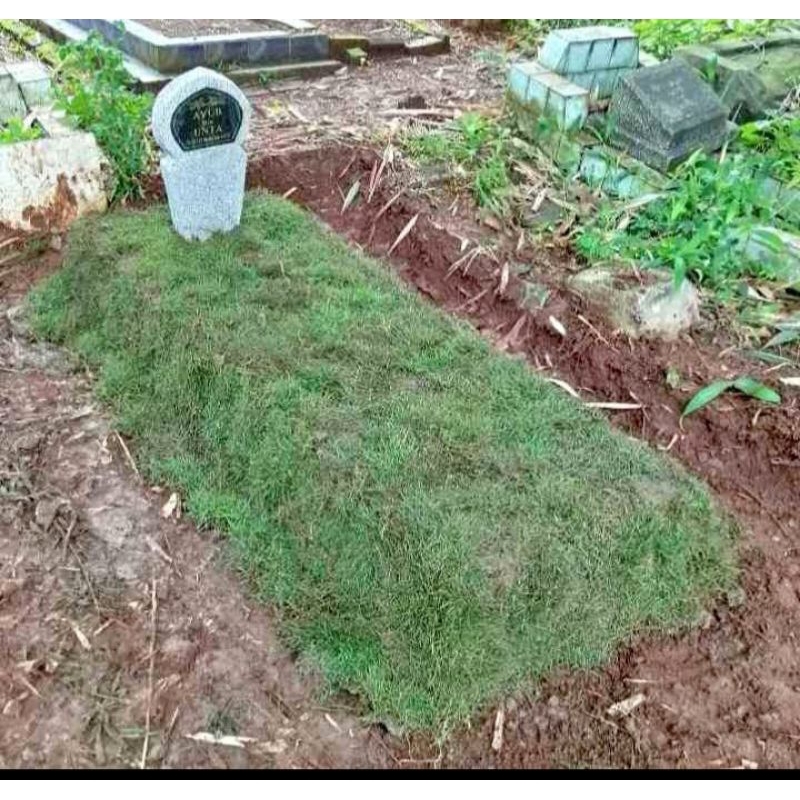 Jual makam paket pasang rumput jepang satu makam umput jepang paket ...