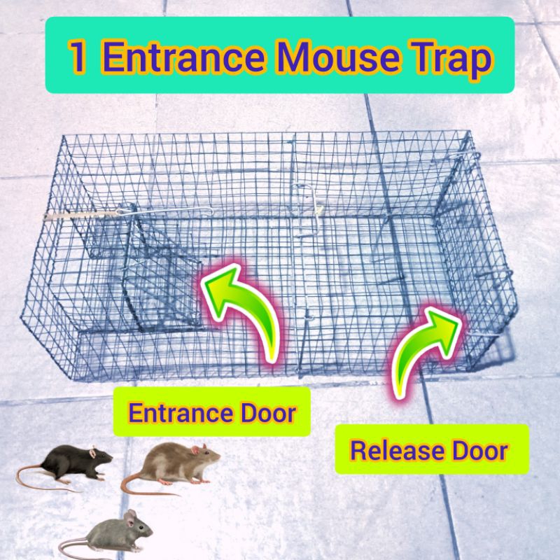 Jual Perangkap/ Jebakan/ Trap Tikus Massal 1 Pintu Masuk, Desain Unik ...