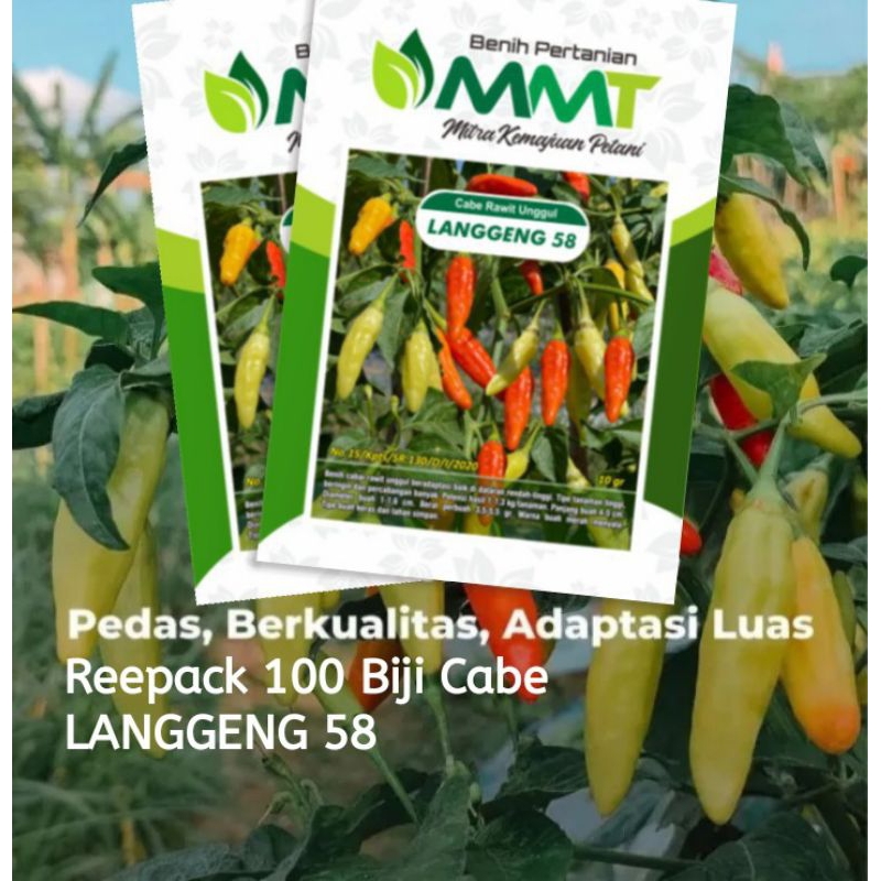 Jual 100 Biji Cabe Langgeng 58 | Benih Cabai Rawit | Benih Sayuran | Shopee Indonesia
