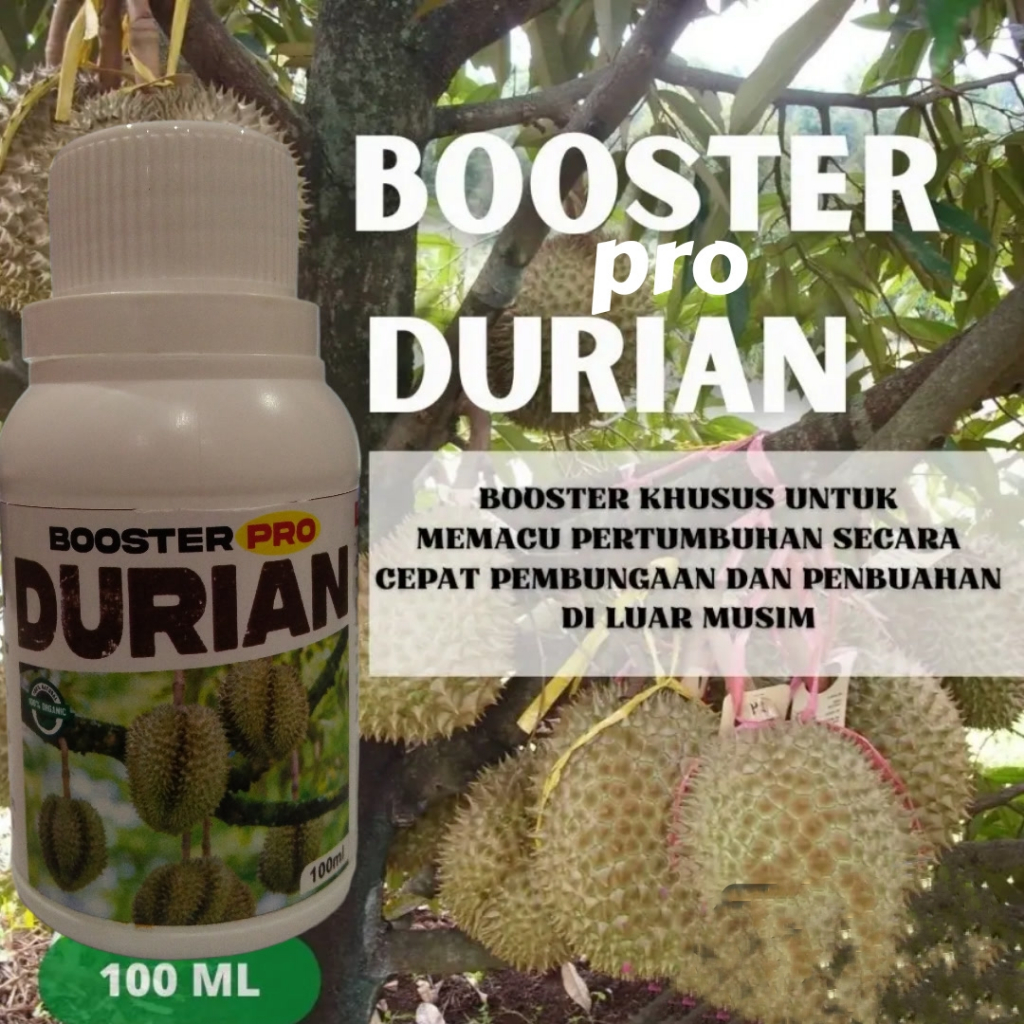 Jual Pupuk booster pro Durian Agar Berbuah Lebat, BOOSTER DURIAN CAIR MONTONG | Shopee Indonesia