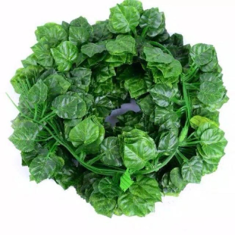Jual Daun Rambat Anggur Sedang Per Lusin /Daun Plastik/Bunga Artificial ...