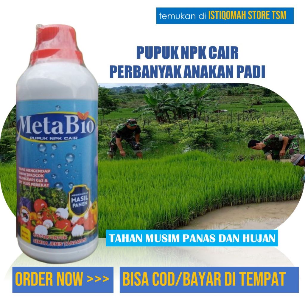 Jual Pupuk Organik Perbanyak Anakan Padi: METABIO Pupuk NPK Cair 500 ML Meningkatkan Produksi ...