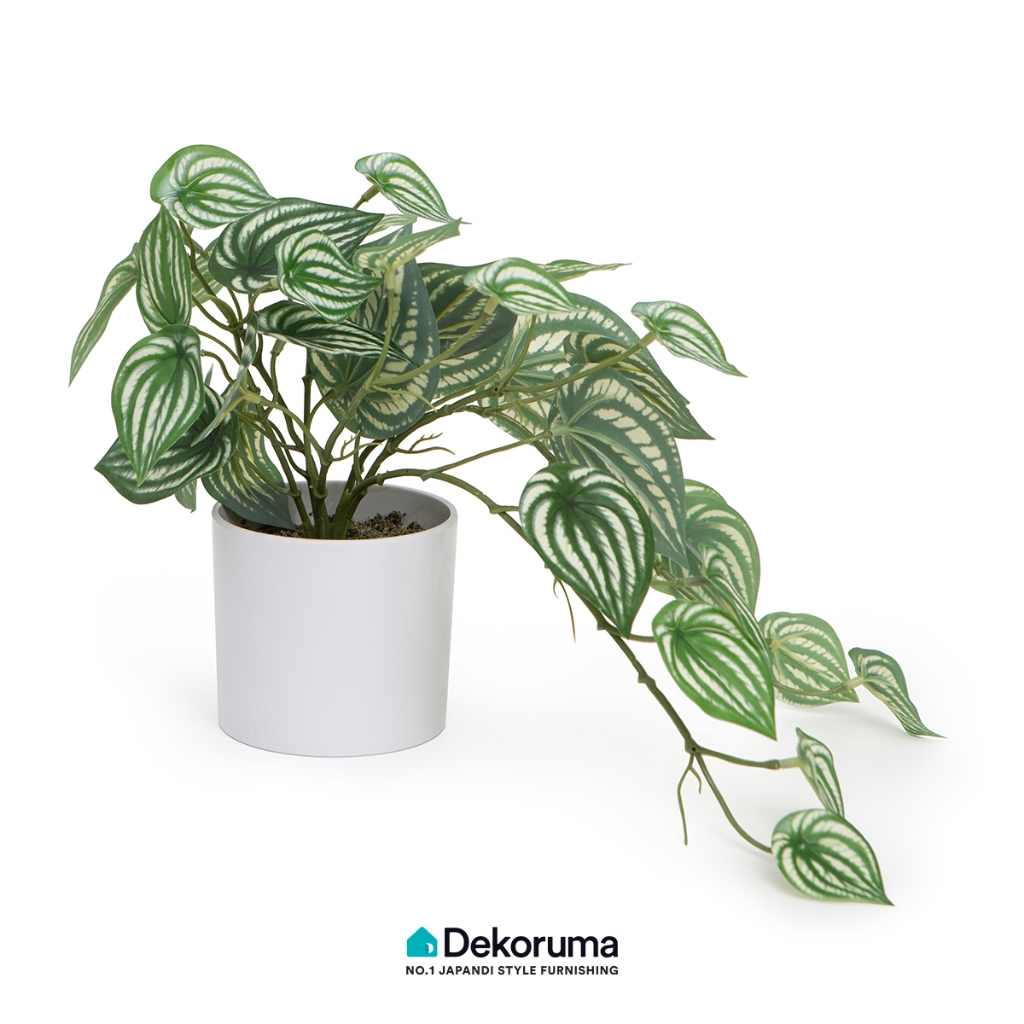 Jual Dekoruma KATORI Tanaman Tiruan Watermelon Leaves dalam Pot Putih ...