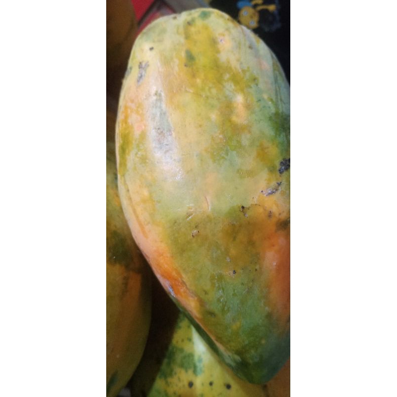 Jual PEPAYA BANGKOK / pepaya california RASA MANIS WARNA MERAH(PACKING ...