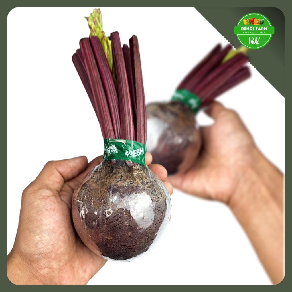 Jual BEET ROOT / BUAH BEET / BUAH BIT | Shopee Indonesia