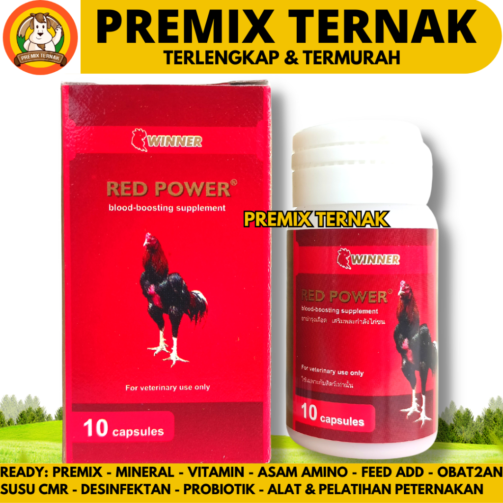Jual WINNER RED POWER 1 BOTOL (10Kapsul) - Suplemen Vitamin Penambah ...