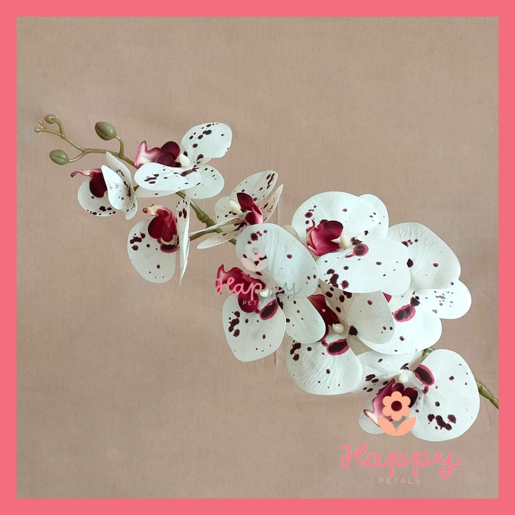 Jual Artificial Orchids Bunga Anggrek Latex Real Touch K9 Premium ...
