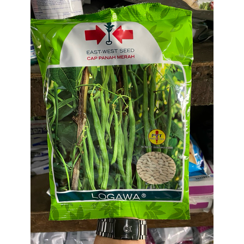 Jual Benih bibit buncis logawa isi 500 gram | Shopee Indonesia