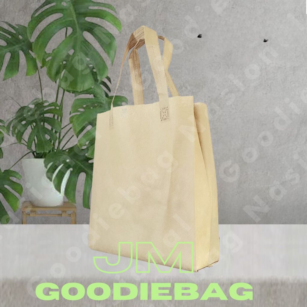 Jual Tas spunbond HLS goodie bag 25x35 x8 cm 65GSM ,tas kain belanja,souvenir,promosi,tas ultah ...