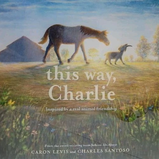 Jual This Way Charlie | Shopee Indonesia