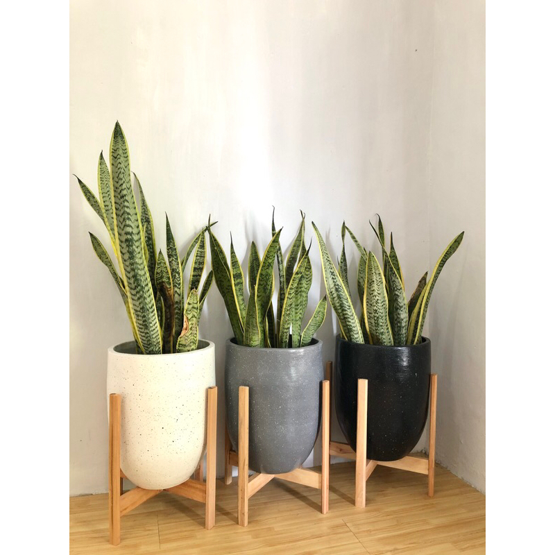 Jual pot bunga tanah liat motif teraso 30x40 cm free packing kayu ...