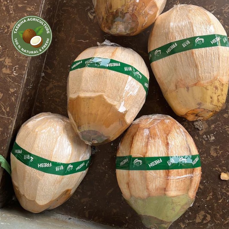 Jual Kelapa Kopyor sedang Premium Asli Pati Fresh Selection | Shopee ...
