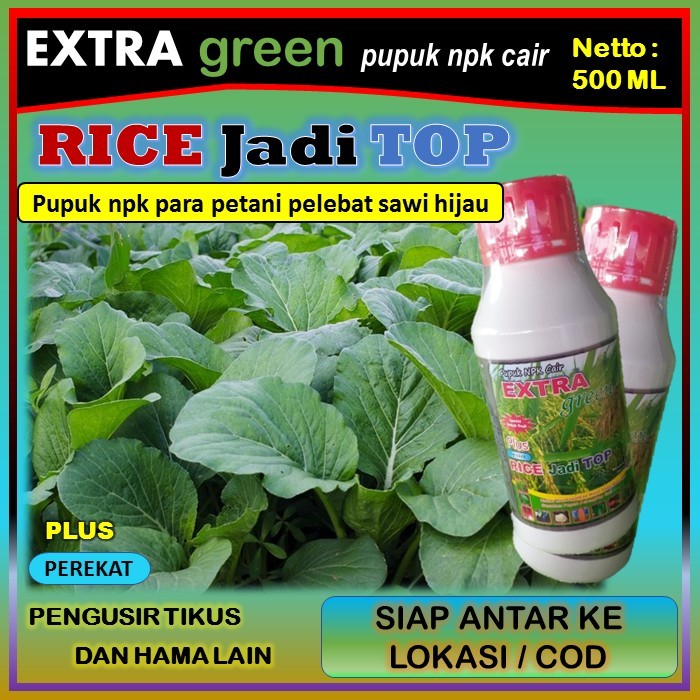 Jual Pupuk tanaman sawi hijau npk cair lengkap ( EKTRA GREEN RICE jadi TOP ) 500 ml - pupuk ...