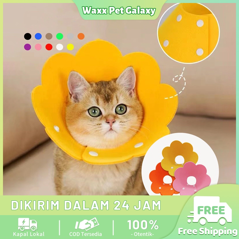 Jual CORONG PELINDUNG LEHER BAHAN EVA - Collar Pelindung Leher Kucing ...