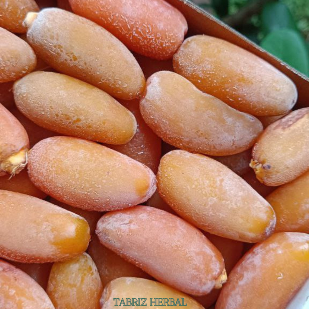 Jual Kurma Ruthob Libya Muda kemasan 1kg Fresh Kurma Ruthob Super ...