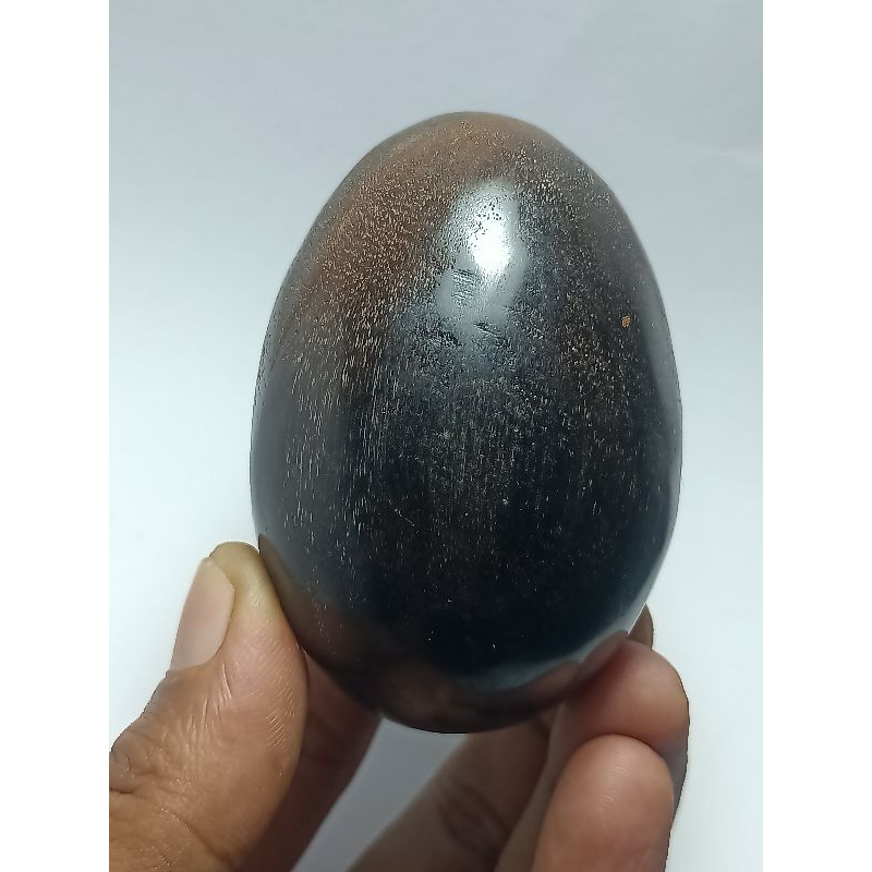 Jual Batu Posil Galih Kelor Bentuk Telur , ukuran big , MURAH | Shopee ...