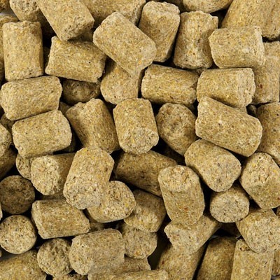 Jual PELET pakan RAT BIO makanan TIKUS putih hamster RATBIO 1 KG ...