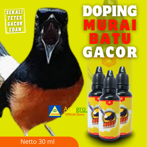 Jual Vitamin Murai Batu Agar Cepat Gacor 30ML Vitamin Penggacor Murai ...