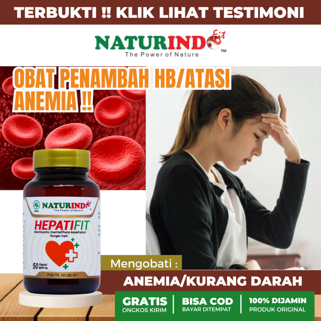 Jual Obat Anemia Kurang Darah Rendah HB Rendah Badan Lemas dan Kepala ...