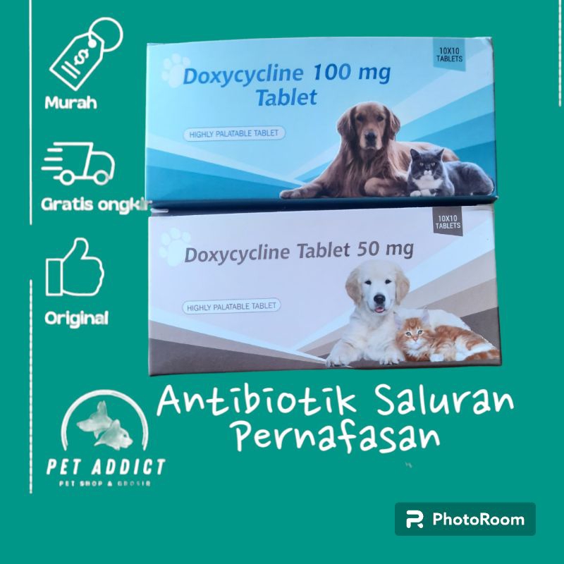 Jual Doxycycline Doxy Cycline 50mg dan 100mg Antibiotik Broad Spectrum ...