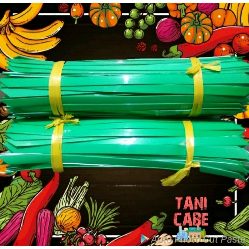 Jual Jepit mulsa 2 ikat 200pcs/ sujen 20cm TP /paku mulsa | Shopee ...