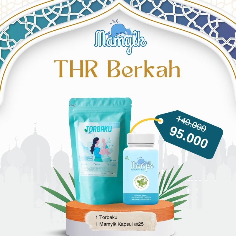 Jual Paket THR LEBARAN MAMYLK ASI BOOSTER pelancar ASI | Shopee Indonesia