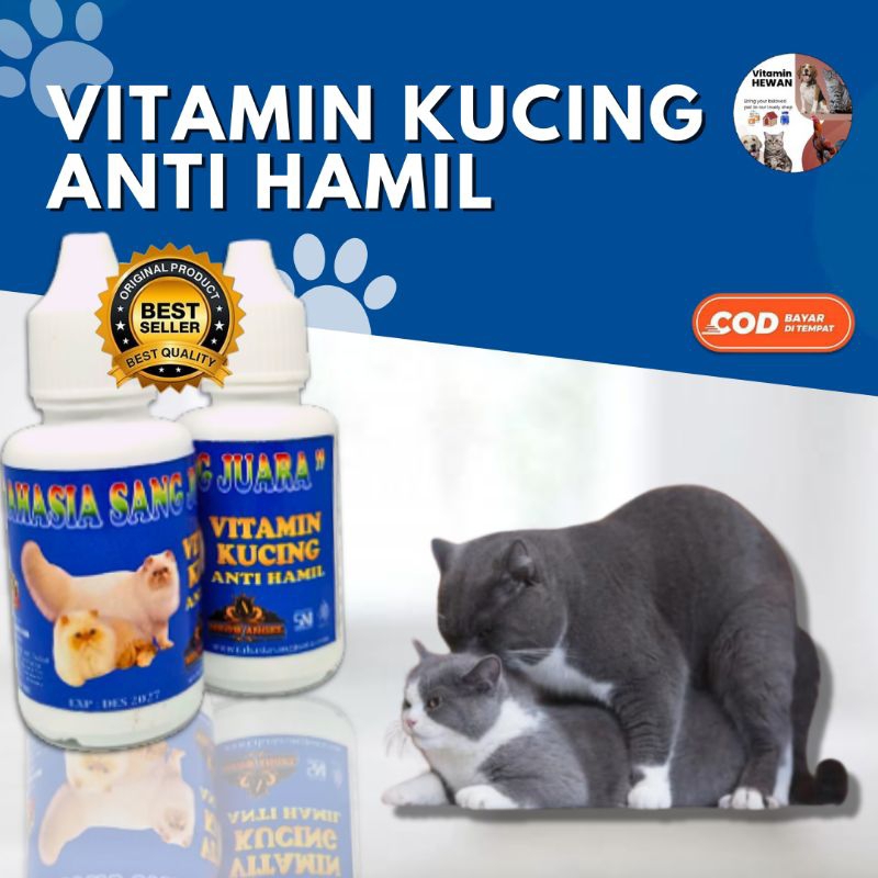 Jual VITAMIN ANTI HAMIL ANTI BUNTING KUCING AMPUH ( Rahasia Sang Juara ...