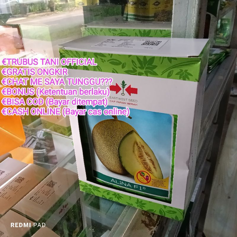Jual Benih Melon Madu Super Alina F1 Isi 500 Butir Kadaluarsa 2025 Cap ...