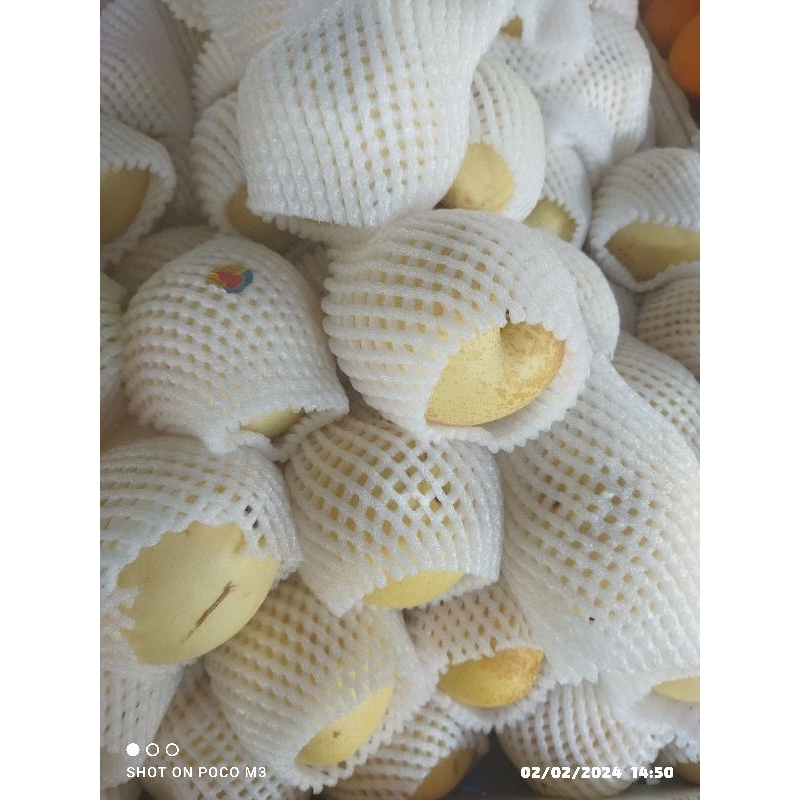 Jual Pear madu 1 kg | Shopee Indonesia