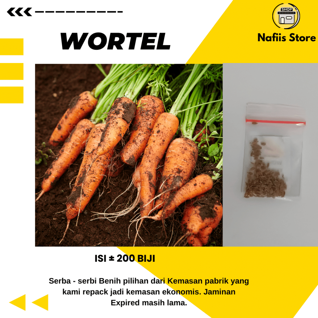 Jual 200 Biji - benih wortel kuroda ew cap panah merah benih bibit ...