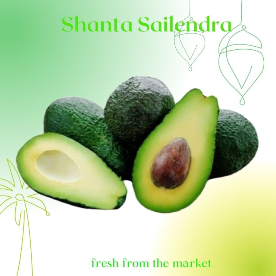 Jual ALPUKAT APOKAT AVOCADO 1 KG | Shopee Indonesia