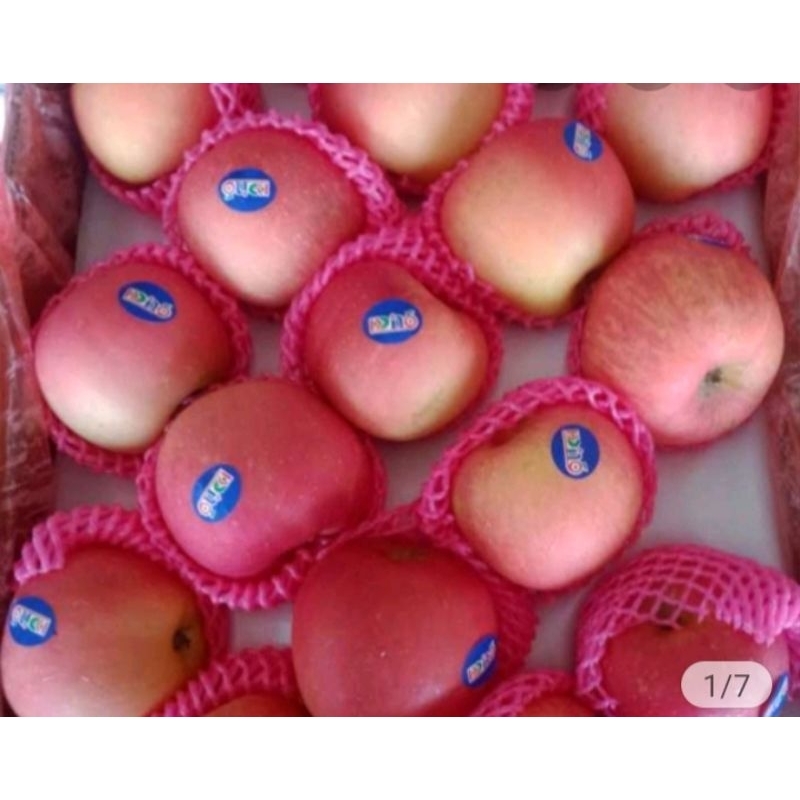 Jual apel fuji per pack | Shopee Indonesia